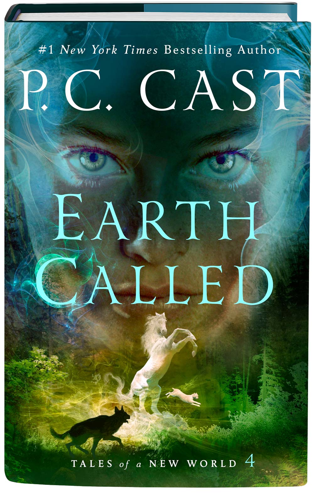 P. C. Cast Series - St. Martin’s Press